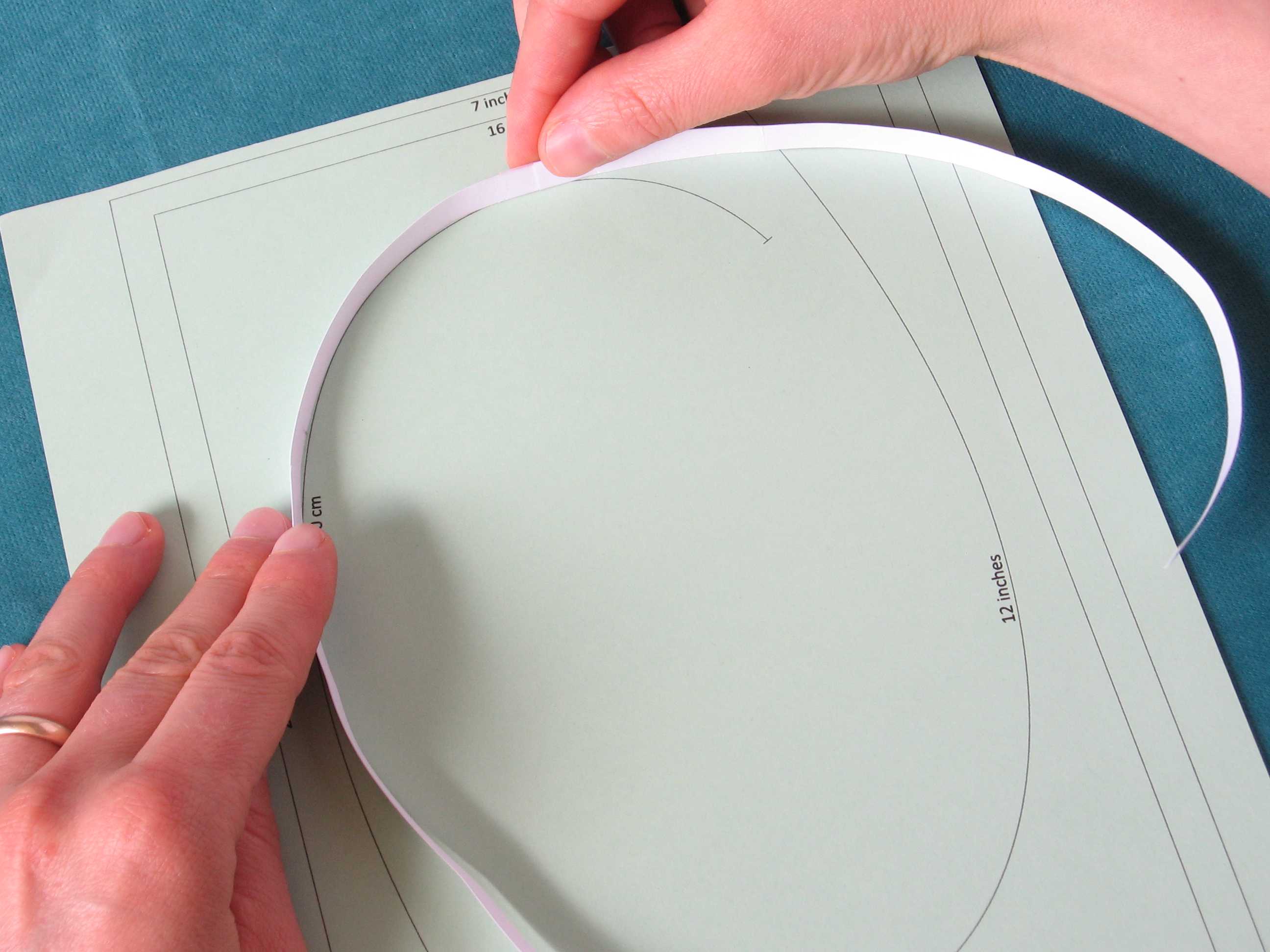 Measuring Curves | Grow Your Own Clothes